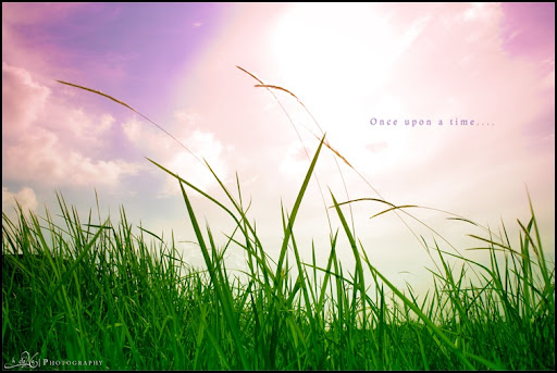 cool image: Pasir Ris, home to 1st ‘green’ sports complex (Work begins ...